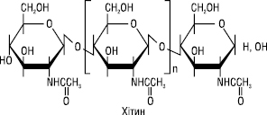 ХІТИН | Фармацевтична енциклопедія
